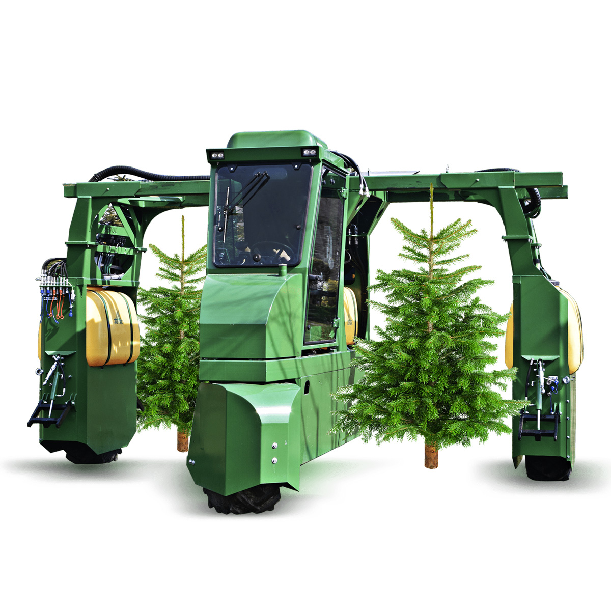 Om Responsible Trees og bæredygtighed - Responsible trees